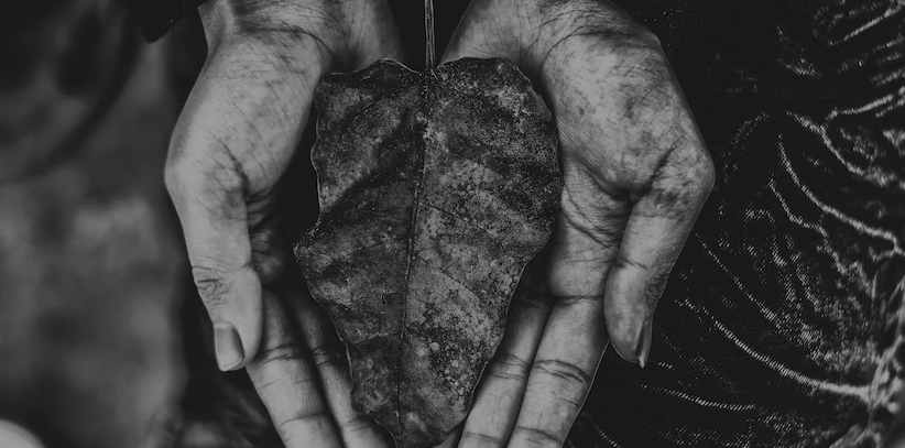 How Generous The Signs Are | zodiac Signs