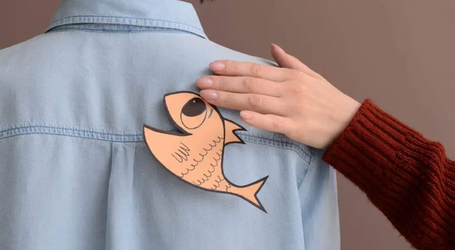 4 Easily Fooled Zodiac Signs | zodiac Signs